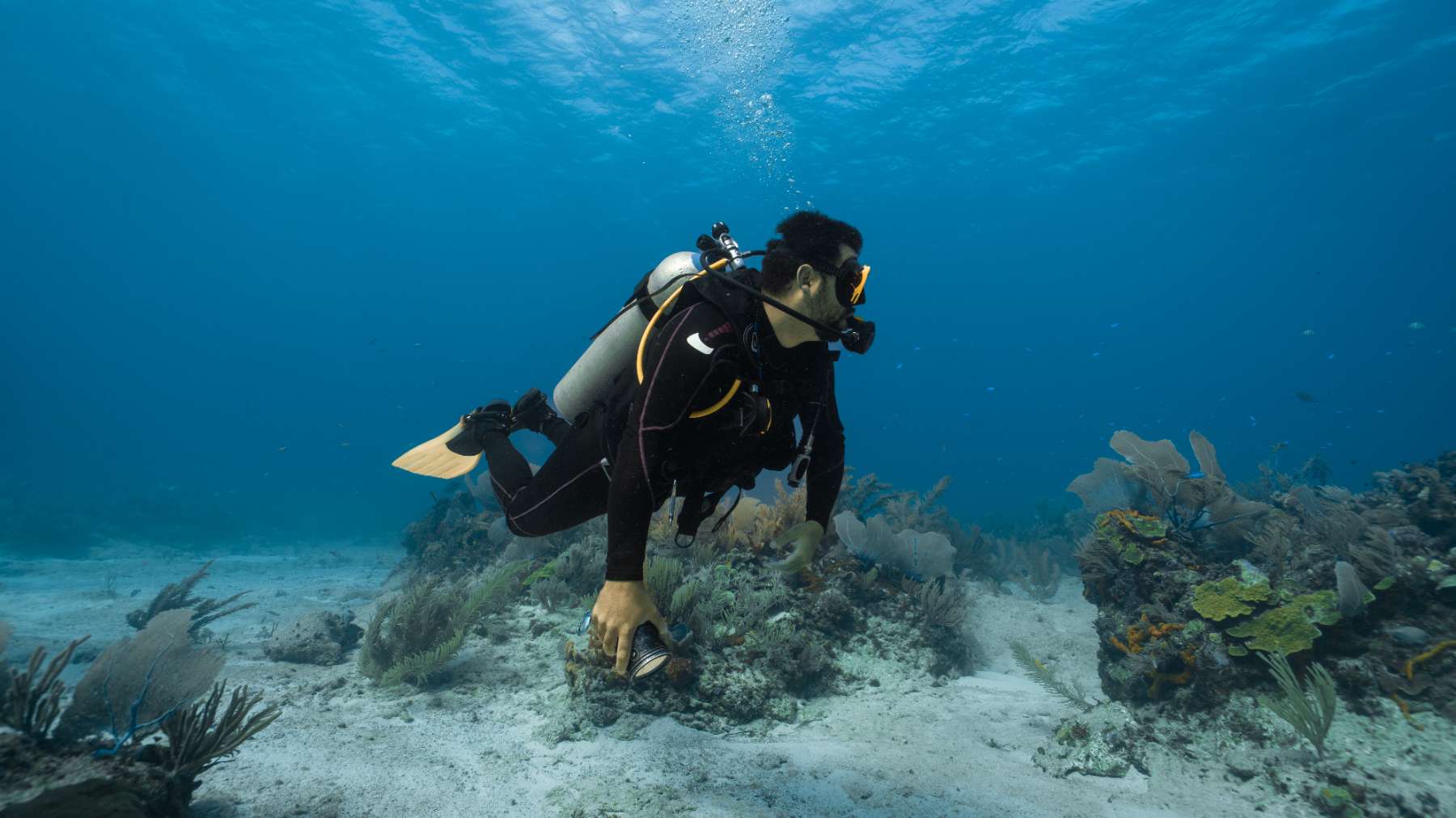 Best Caribbean Islands For Diving - Easy Travel Dude